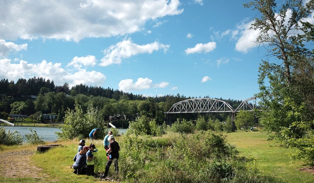 Rivervilla Park Restoration | North Clackamas Parks & Recreation District